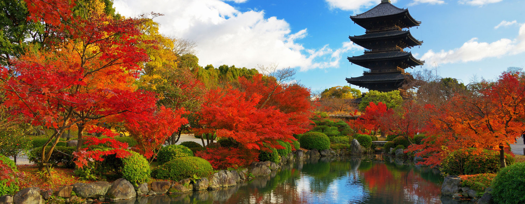 Kyoto Daily Tours | Kyoto Attractions | Things to do in kyoto